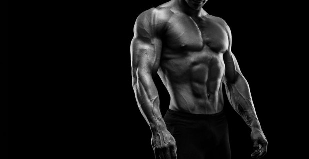 How Fast Can You Build Muscle Naturally How Fast Can You Build Muscle Naturally