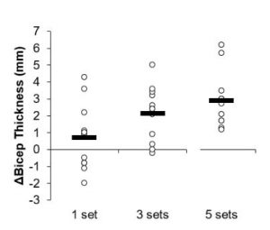 The Hardgainer’s Guide to Faster Muscle Growth